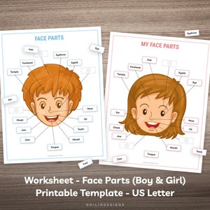 Face Parts Human Anatomy Printable Activity for Toddler Kindergarten ...