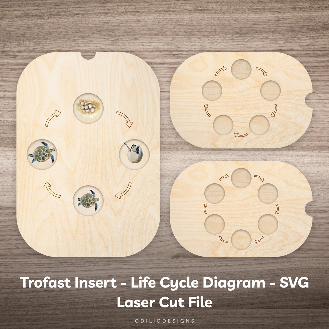Flisat Life Cycle Tray Insert SVG Laser Cut File for Small Large ...
