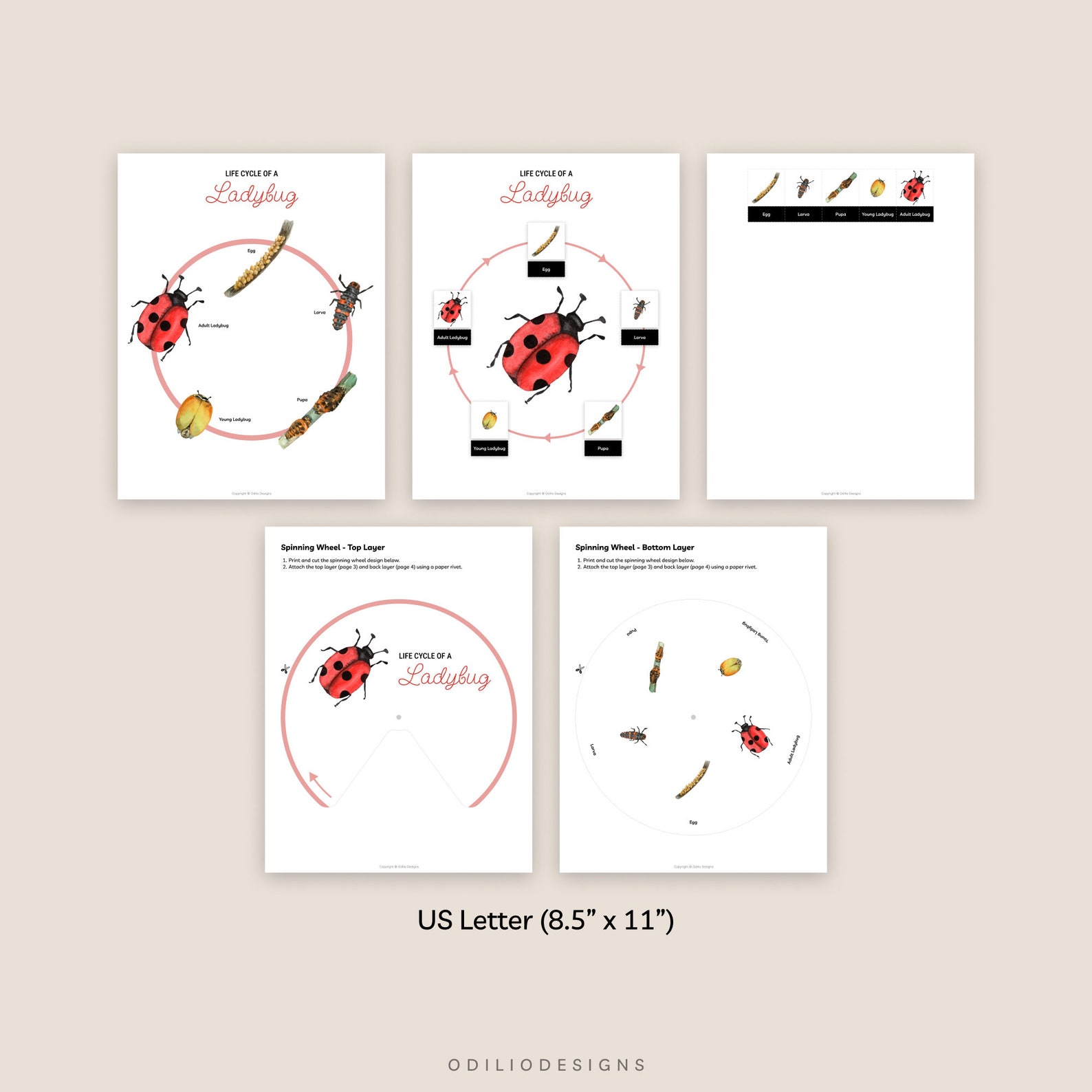 Ladybug Life Cycle Printable Puzzle & Bug Poster Busy Book Worksheet ...