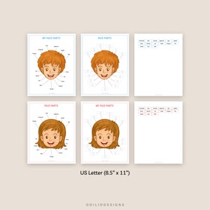 Face Parts Human Anatomy Printable Activity for Toddler Kindergarten ...