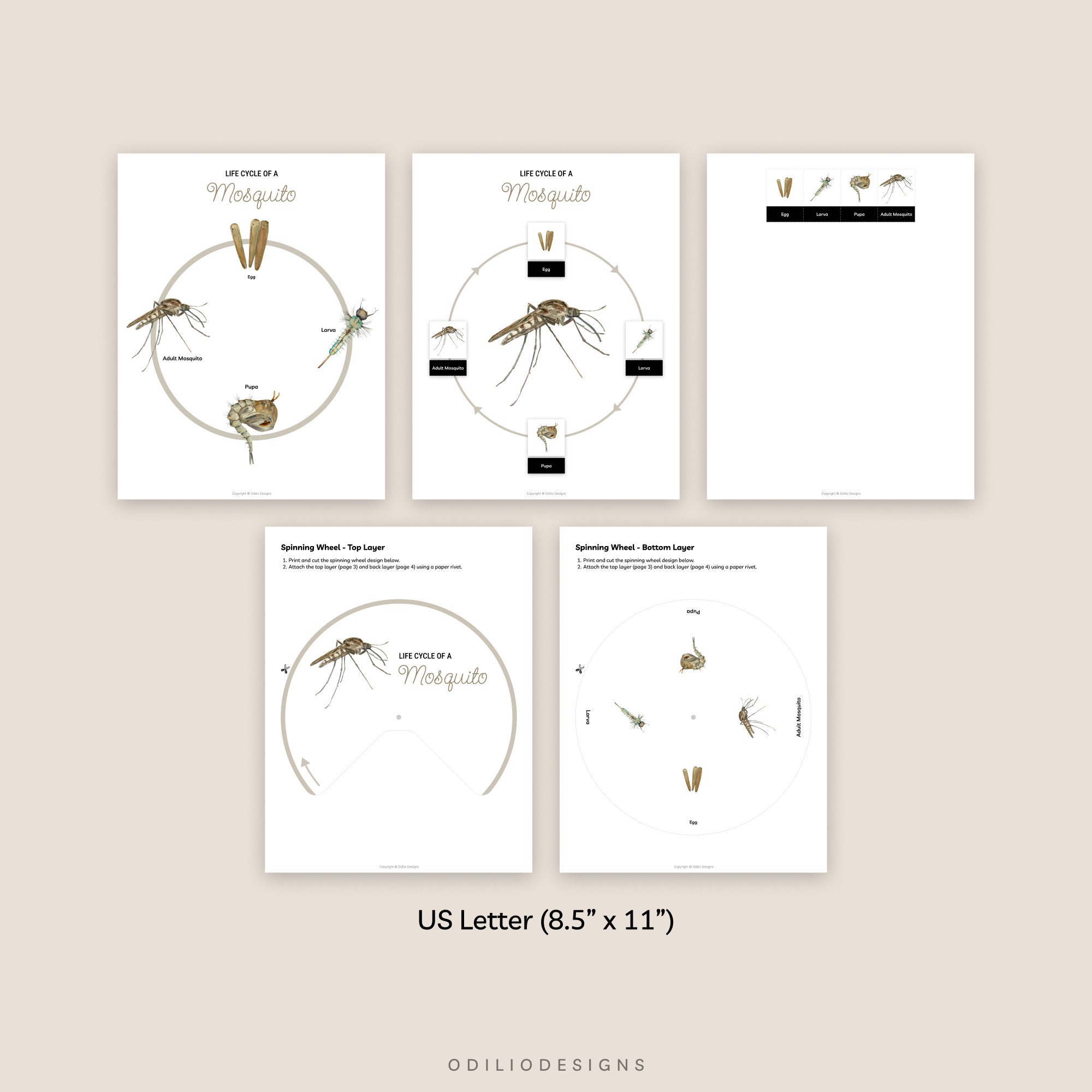 Mosquito Life Cycle Printable Poster & Puzzle Busy Book - Etsy