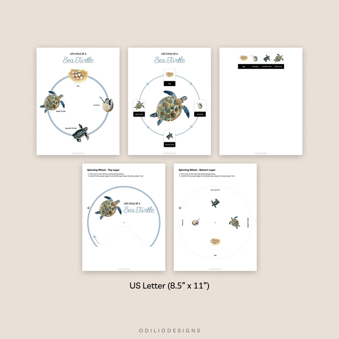 Sea Turtle Life Cycle Printable Poster & Puzzle Busy Book Worksheet for ...