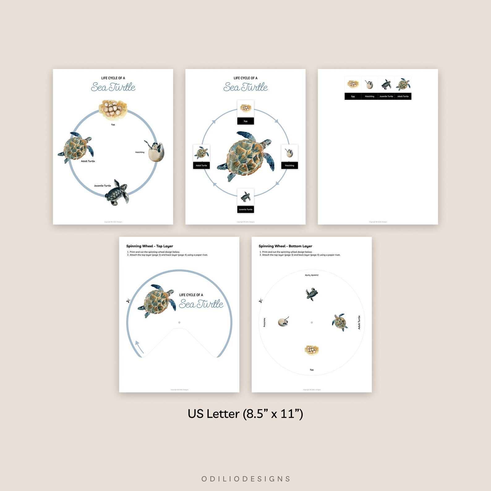 Sea Turtle Life Cycle Printable Poster & Puzzle Busy Book Worksheet for ...