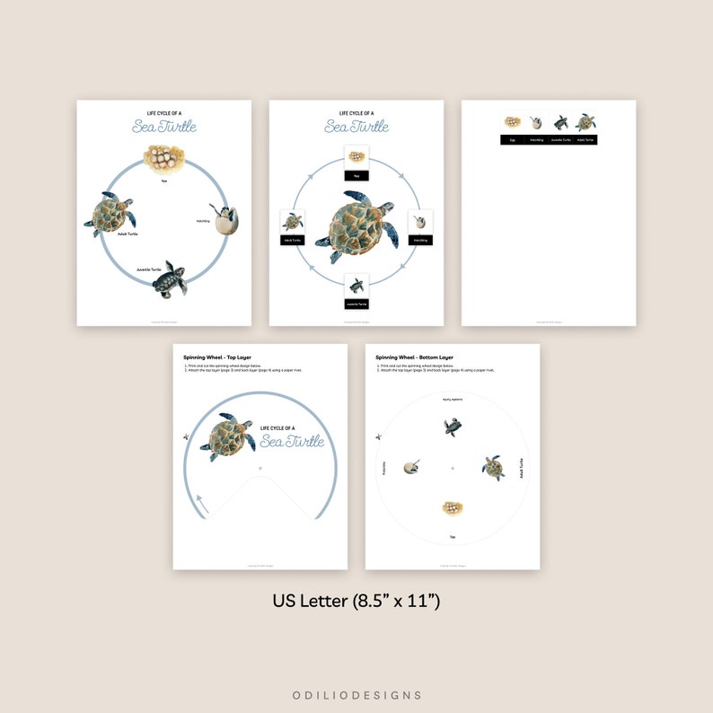 Sea Turtle Life Cycle Printable Poster & Puzzle Busy Book Worksheet for ...