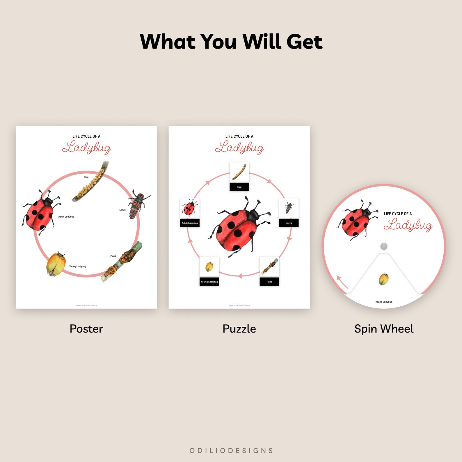 Ladybug Life Cycle Printable Puzzle & Bug Poster Busy Book Worksheet ...