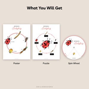 Ladybug Life Cycle Printable Puzzle & Bug Poster Busy Book Worksheet ...