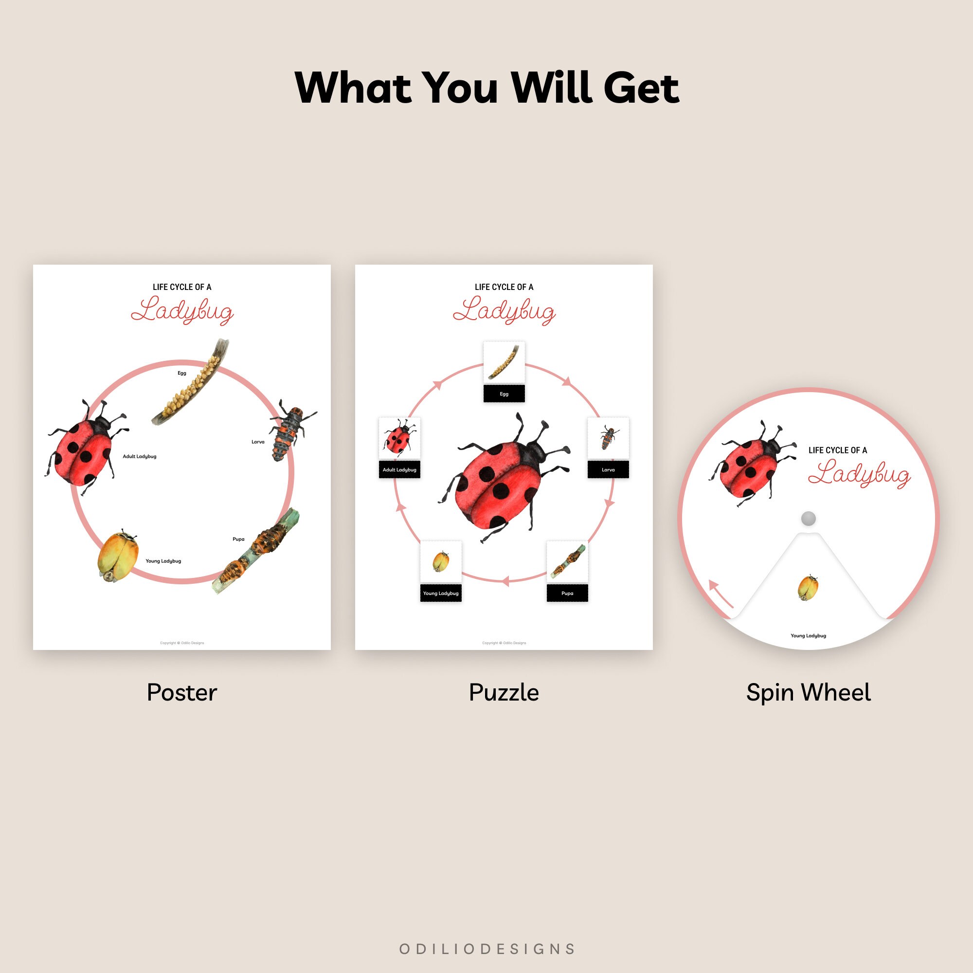 Ladybug Life Cycle Printable Puzzle & Bug Poster Busy Book Worksheet ...