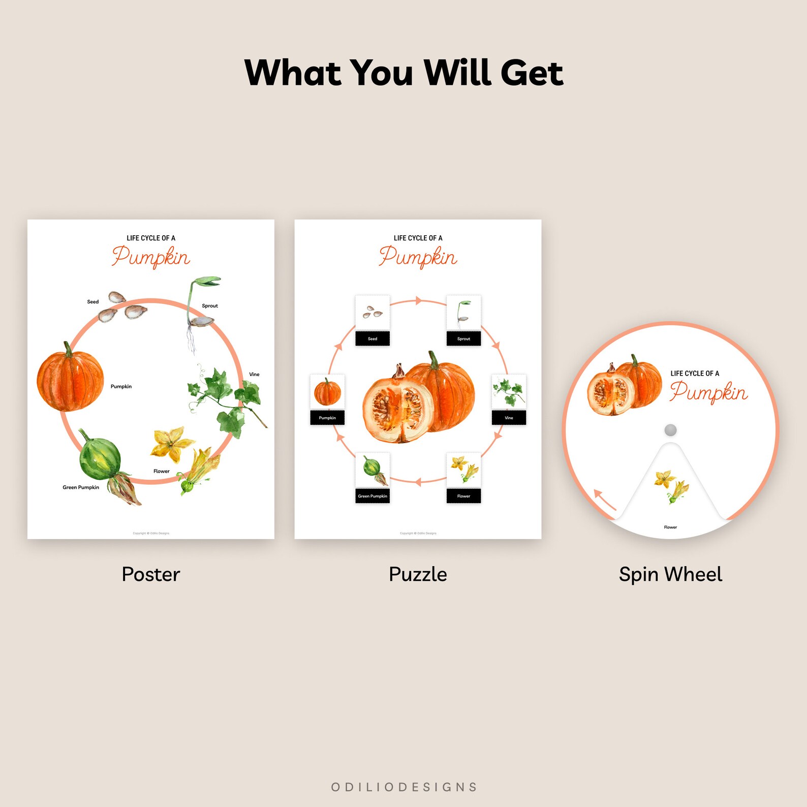 Pumpkin Life Cycle Wheel and Puzzle Printable Fall Autumn Activity for ...