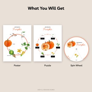 Pumpkin Life Cycle Wheel and Puzzle Printable Fall Autumn Activity for ...