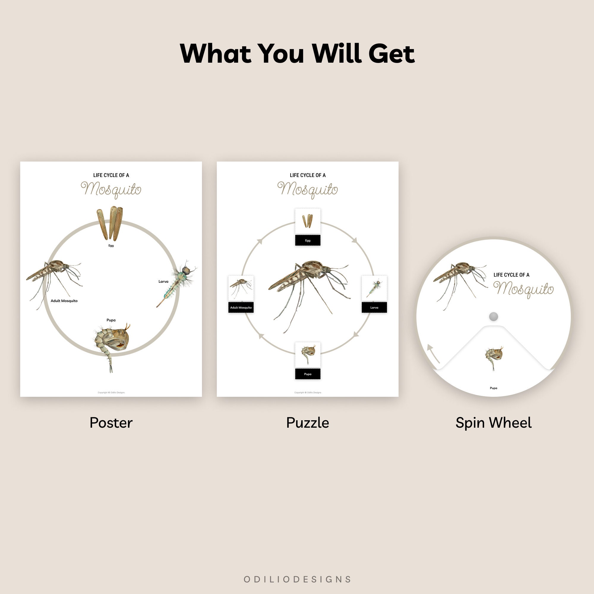 Mosquito Life Cycle Printable Poster & Puzzle Busy Book Worksheet for ...