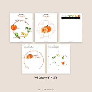 Pumpkin Life Cycle Wheel and Puzzle Printable Fall Autumn Activity for ...