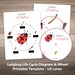 Ladybug Life Cycle Printable Puzzle & Bug Poster Busy Book Worksheet ...