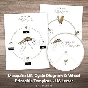 Mosquito Life Cycle Printable Poster & Puzzle Busy Book Worksheet for ...