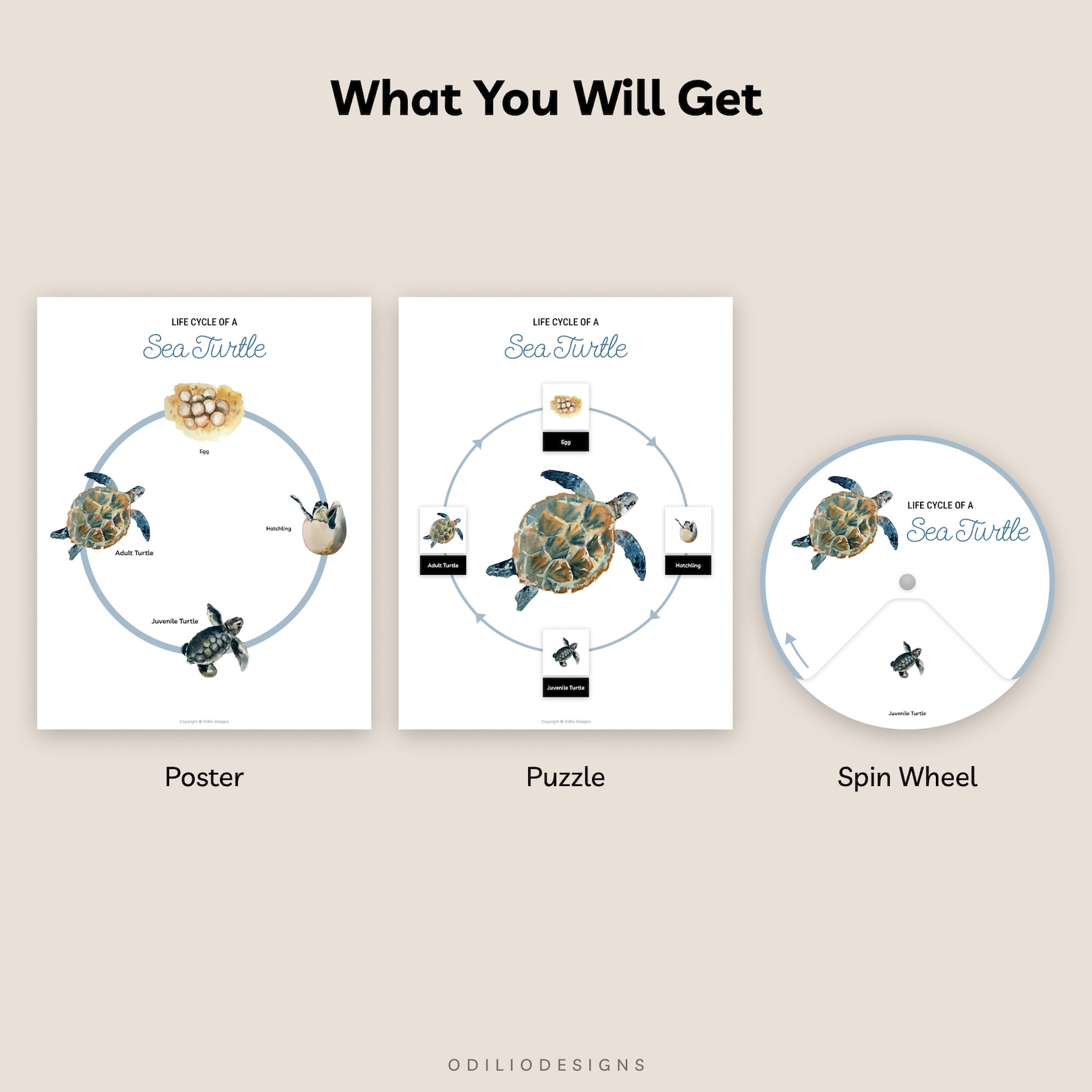 Sea Turtle Life Cycle Printable Poster & Puzzle Busy Book Worksheet for ...