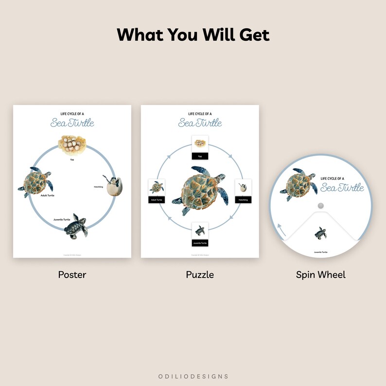 Sea Turtle Life Cycle Printable Poster & Puzzle Busy Book Worksheet for ...