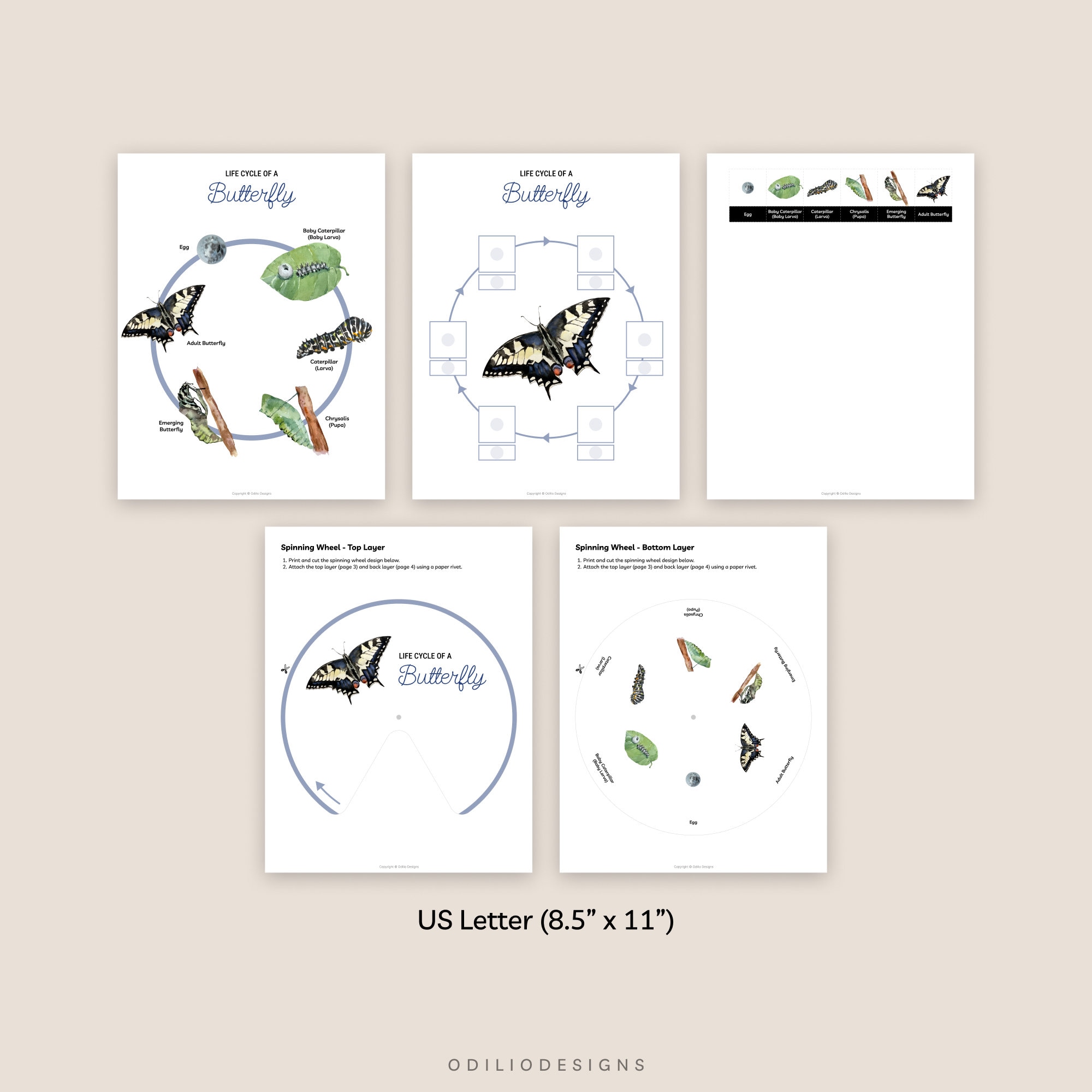 Butterfly Life Cycle Printable Poster & Puzzle Busy Book Worksheet for ...