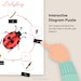 Ladybug Life Cycle Printable Puzzle & Bug Poster Busy Book Worksheet ...