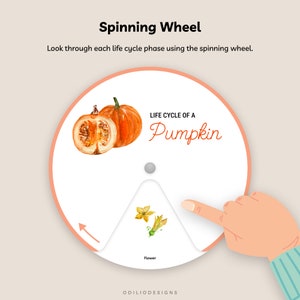 Pumpkin Life Cycle Wheel and Puzzle Printable Fall Autumn Activity for ...