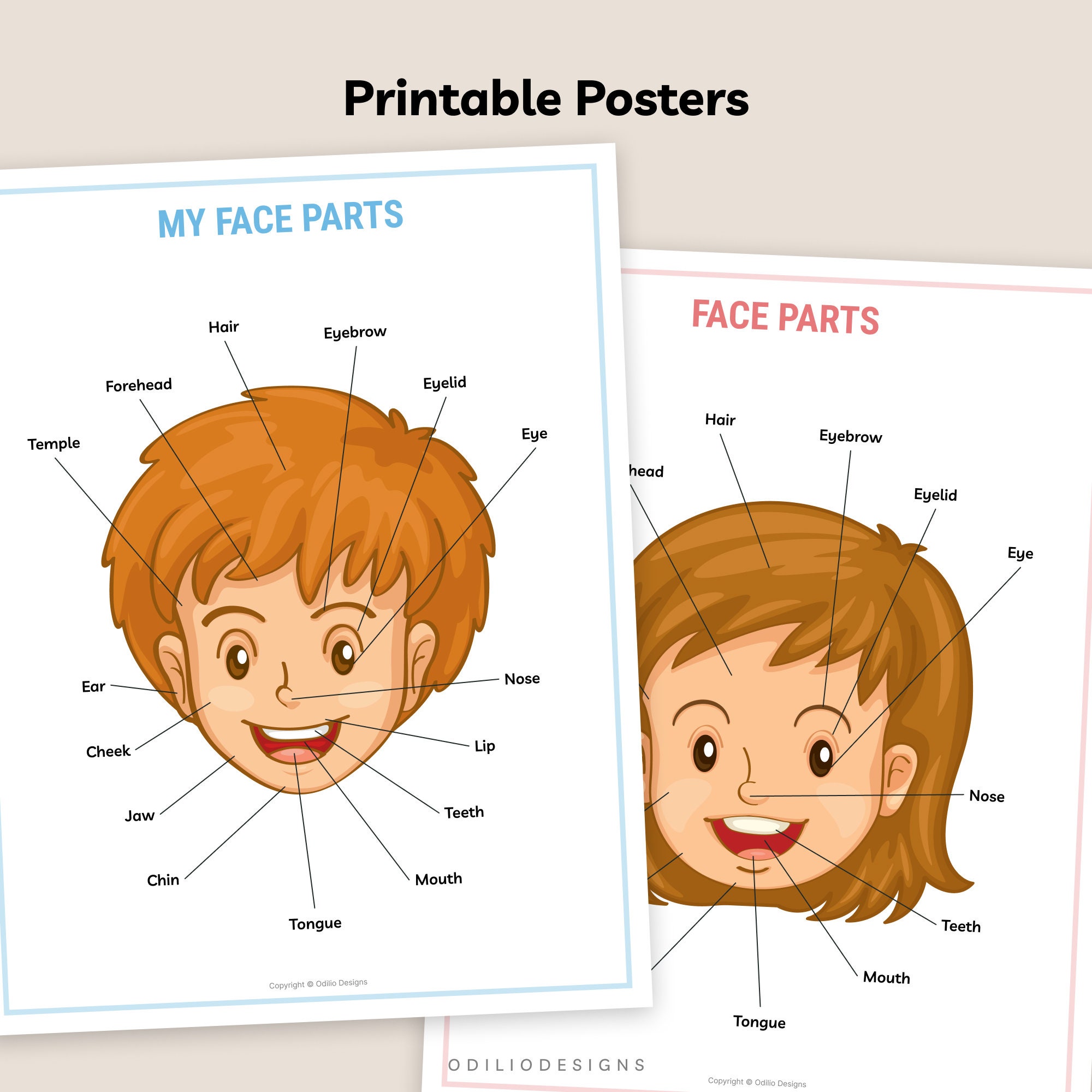 Face Parts Human Anatomy Printable Activity for Toddler Kindergarten ...