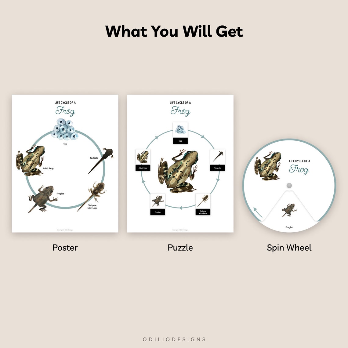 Frog Life Cycle Diagram Puzzle Printable Busy Book Worksheet for ...