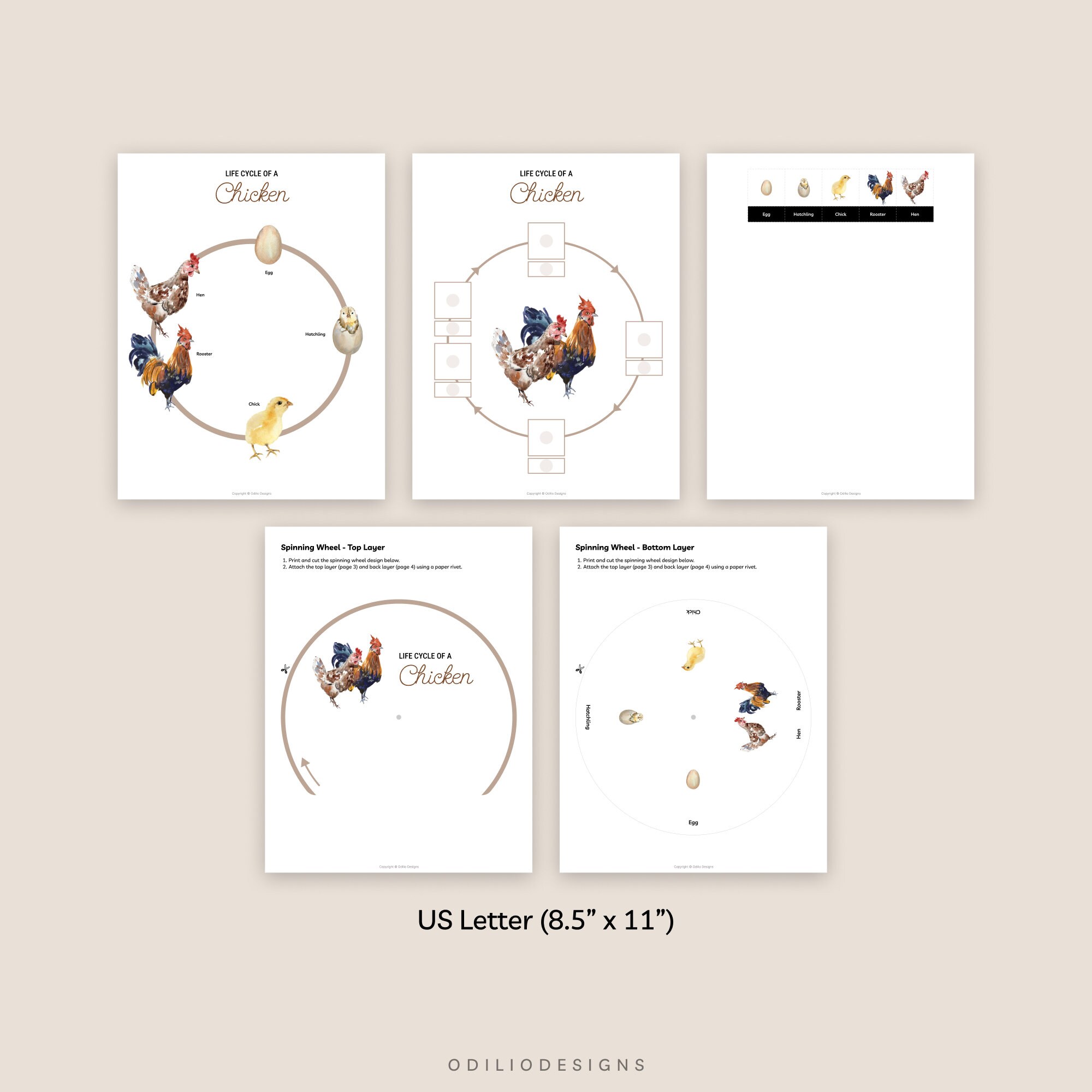 Chicken Life Cycle Printable Poster & Puzzle Busy Book - Etsy