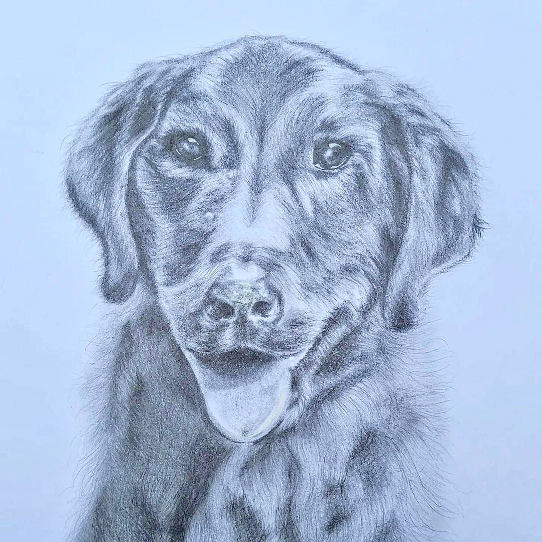 Dog Drawing - Custom Drawing - Pet Portrait - Animal Drawing - Pencil ...