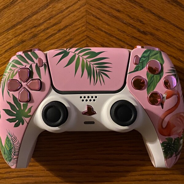 Ps5 Custom Controllers - Etsy