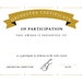 Orchestra Editable Certificate! Mega Pack-5 Certificates: Violin, Viola ...