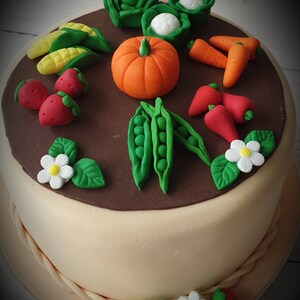Fondant Sugar Vegetables 'peter Rabbit Garden' Theme Cake/cupcakes ...
