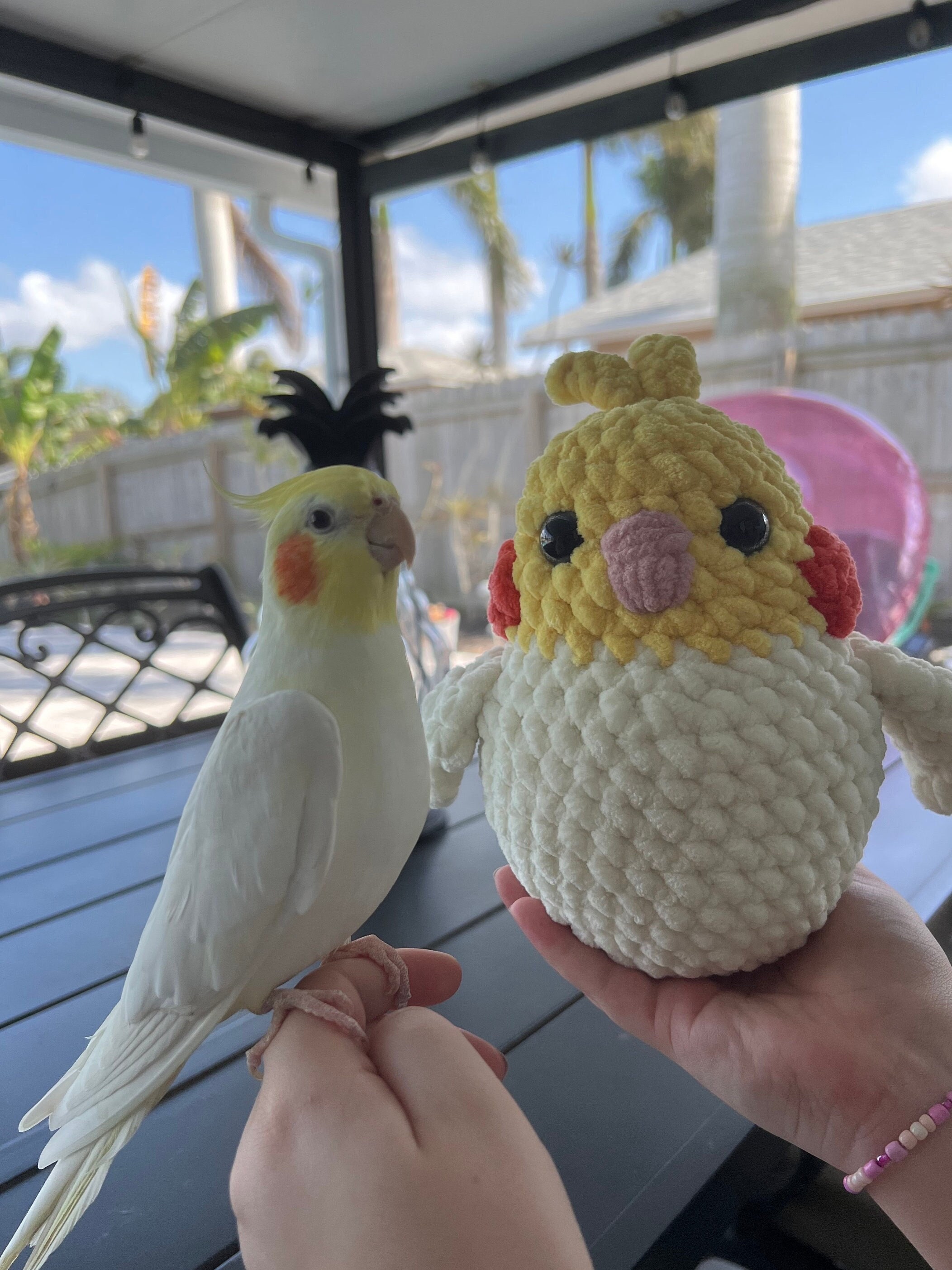 Cockatiel Amigurumi Plush - Etsy