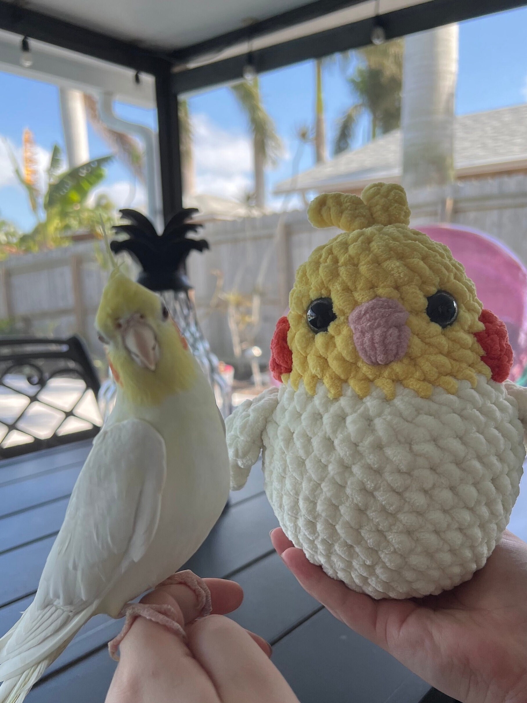 Cockatiel Amigurumi Plush - Etsy