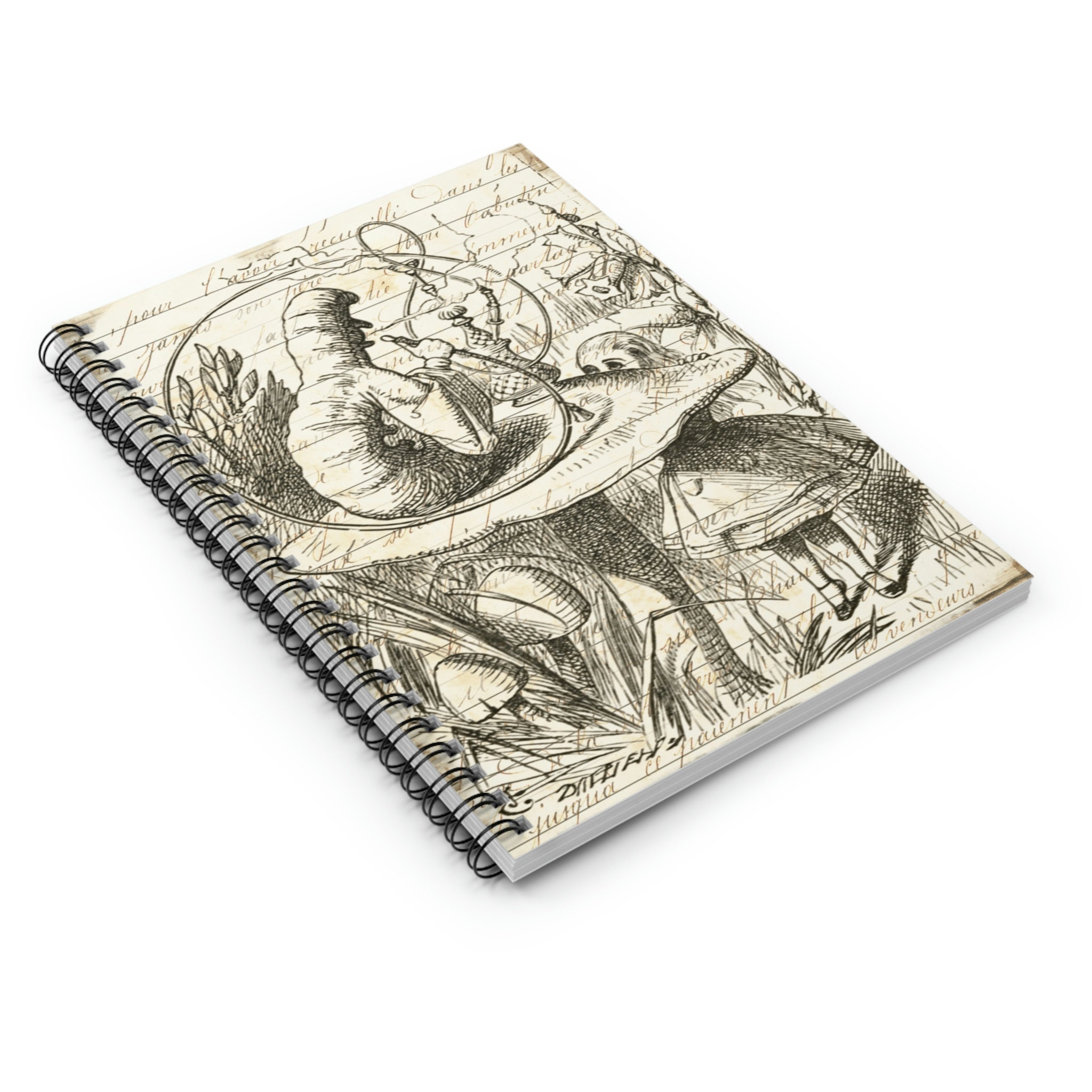 Vintage Alice in Wonderland Notebook Lewis Carroll Alice in Wonderland ...