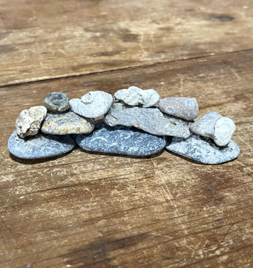Handmade Natural Stone Tank Decor - Retaining Wall W Fossils Frogs ...