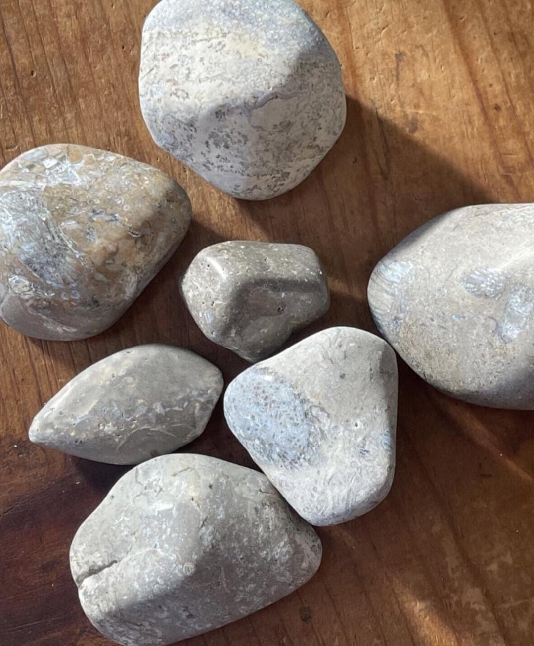 Smooth Tumbled Rock Set for Tank Decorating- Cool Tan Gray Fossil ...