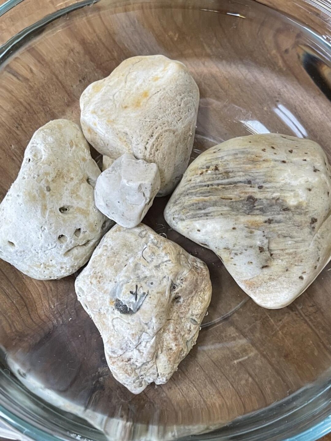 Decorative Natural Stone for Tanks- Large Light / White Stone Set - Etsy