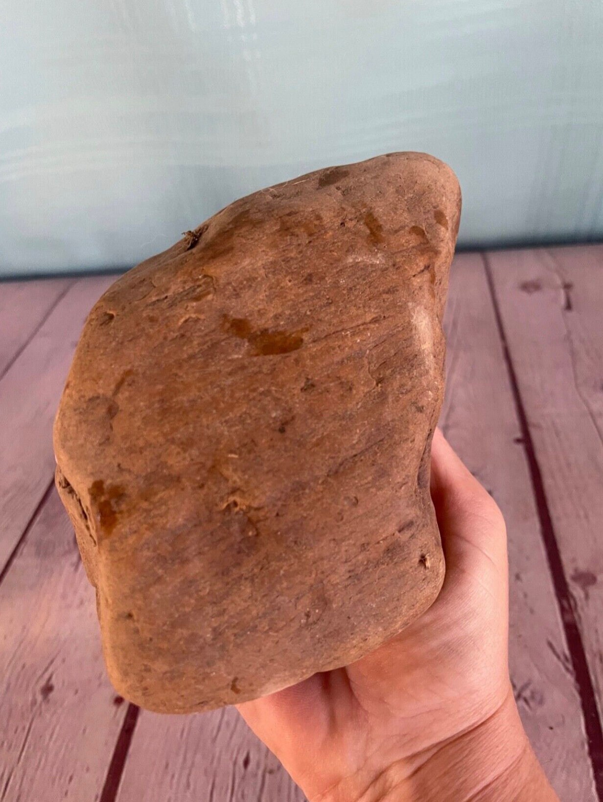 Neat Large Pink Striped Rock Stone Lizard Lounger Aquariums Terrariums ...