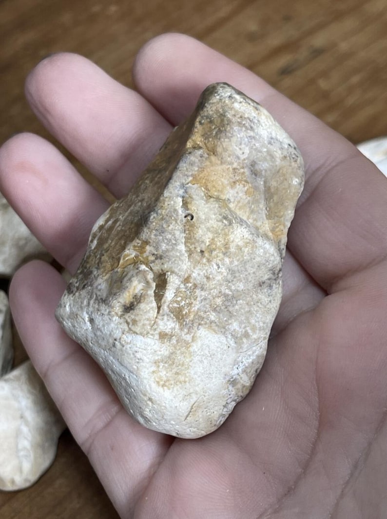 Decorative Natural Stone for Tanks- White Chert Set W Fossils - Etsy