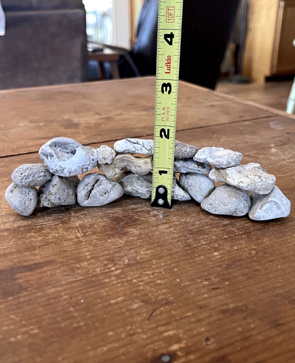 Natural Stone Tank Decor Retaining Wall Substrate for Frogs Turtles ...