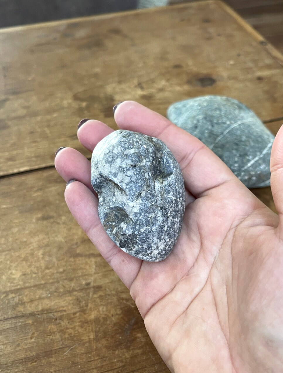 Lot of Natural Ohio River Rocks for Decorating Large Greenish Gray Cool ...
