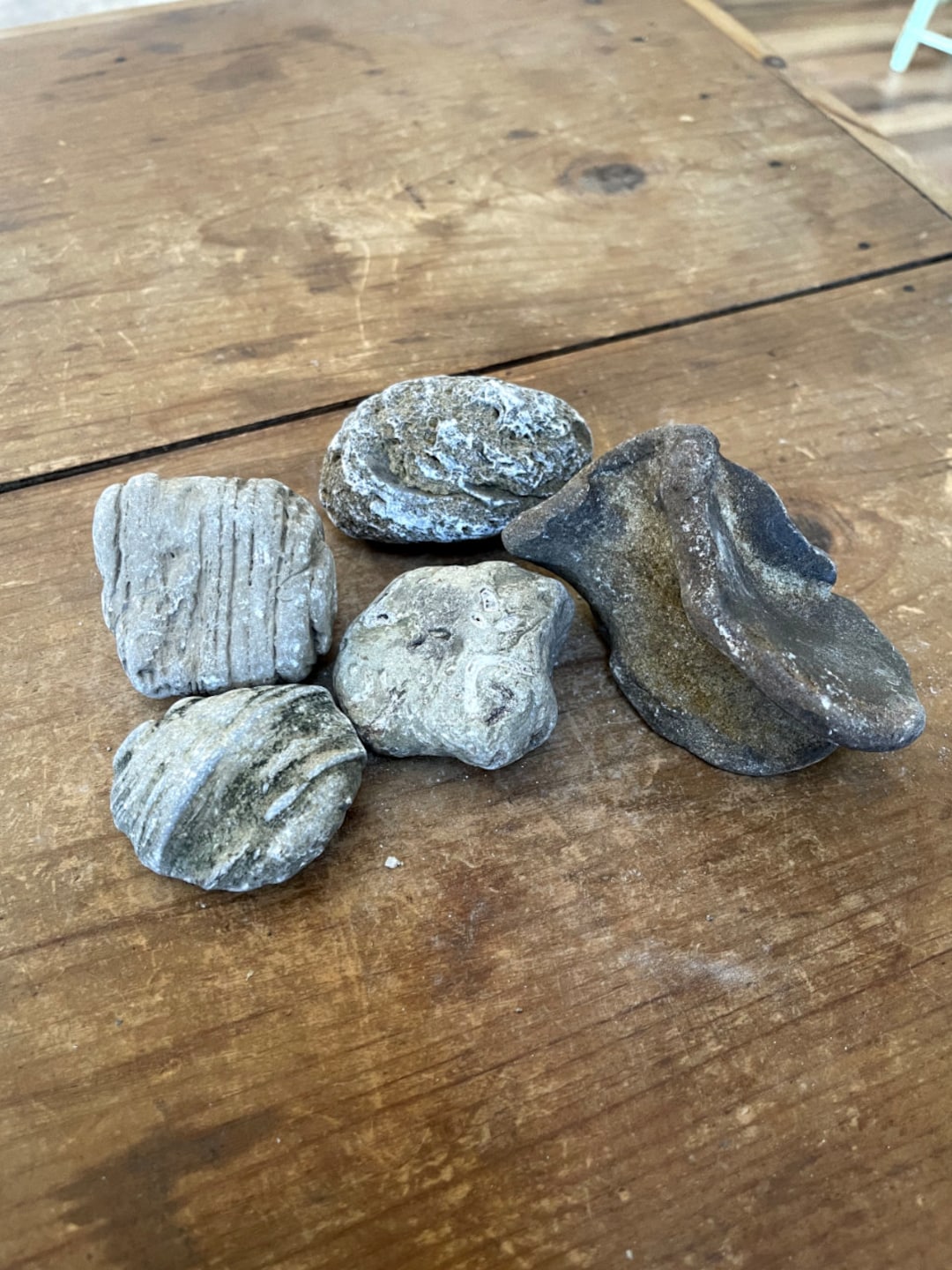 Lot of Natural Ohio River Rocks for Decorating- Cool Gnarly Mix - Etsy