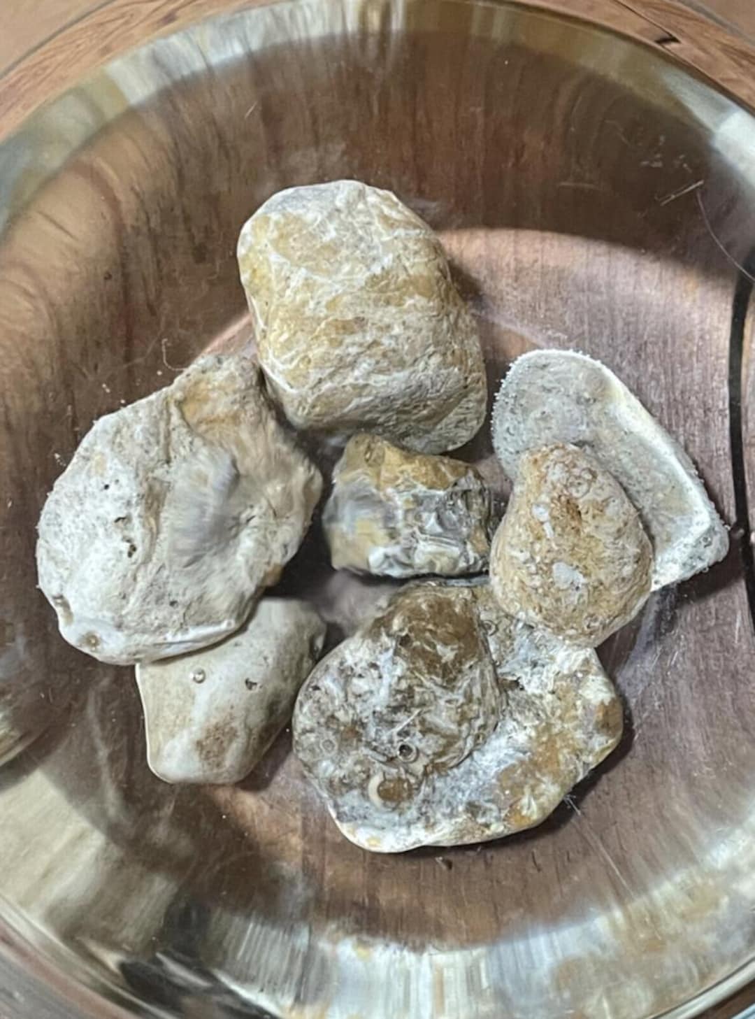 Natural Ohio Rocks for Tank Decorating- Chert Stone With Amazing ...