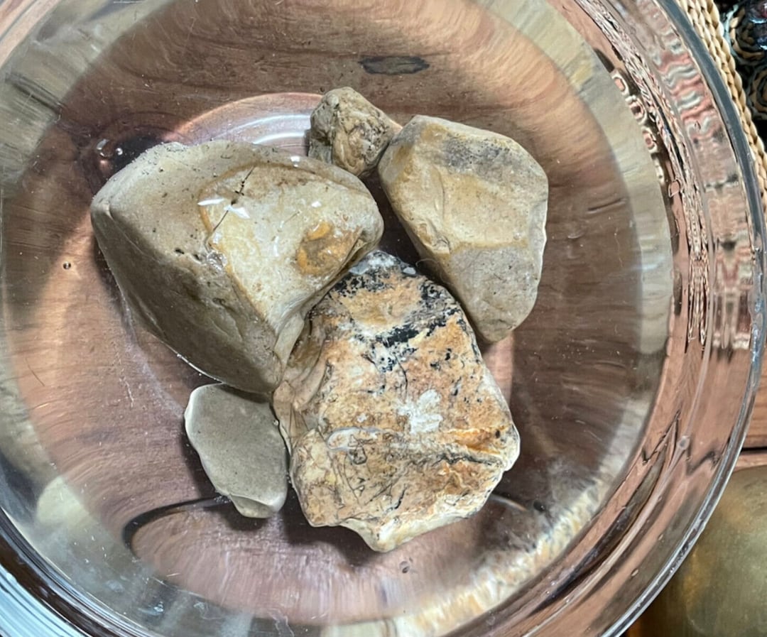 Natural Ohio Rocks for Decorating- Tan Chert With Fossil Inclusions - Etsy