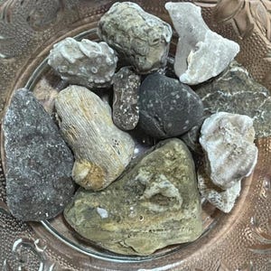Natural Ohio Rocks for Tank Decorating-neat Fossil Set - Etsy