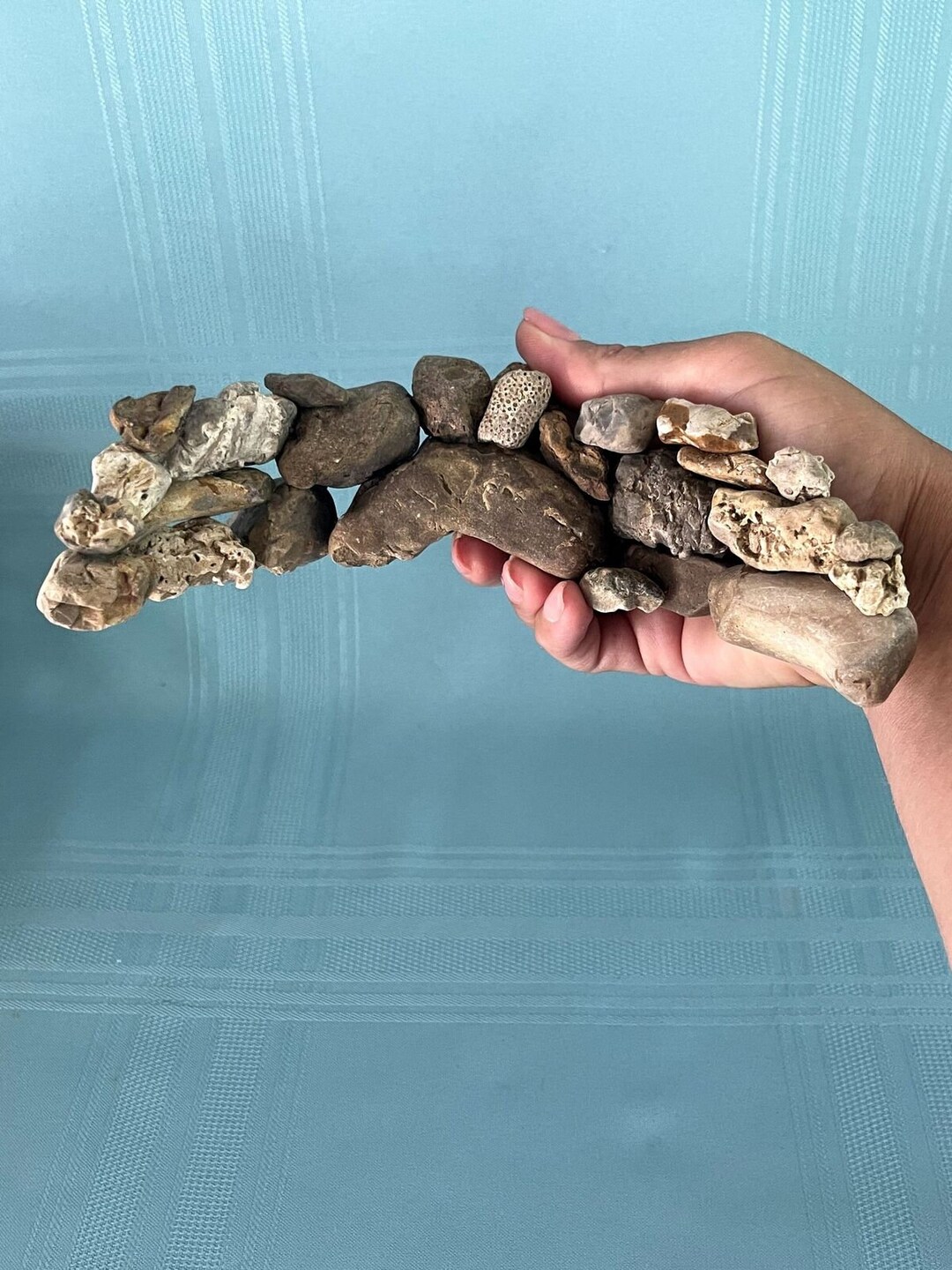 Large All Natural Stone Handmade Fish Aquarium Ornament Curved Wall - Etsy