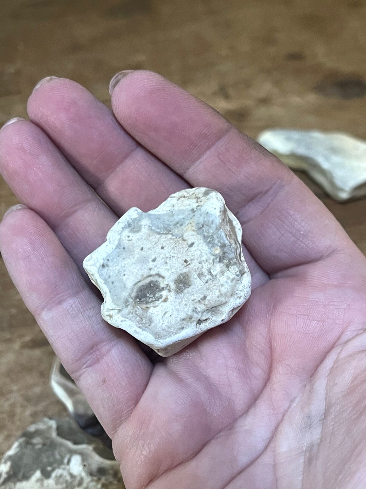 Natural Ohio Rocks for Decorating White Tan and Brown Chert Stones W ...