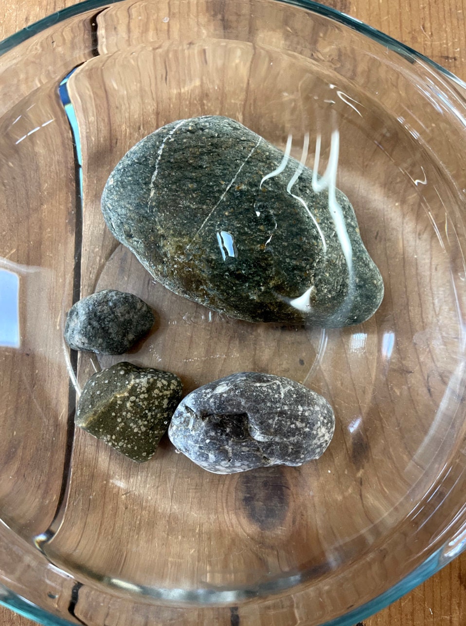 Lot of Natural Ohio River Rocks for Decorating Large Greenish Gray Cool ...