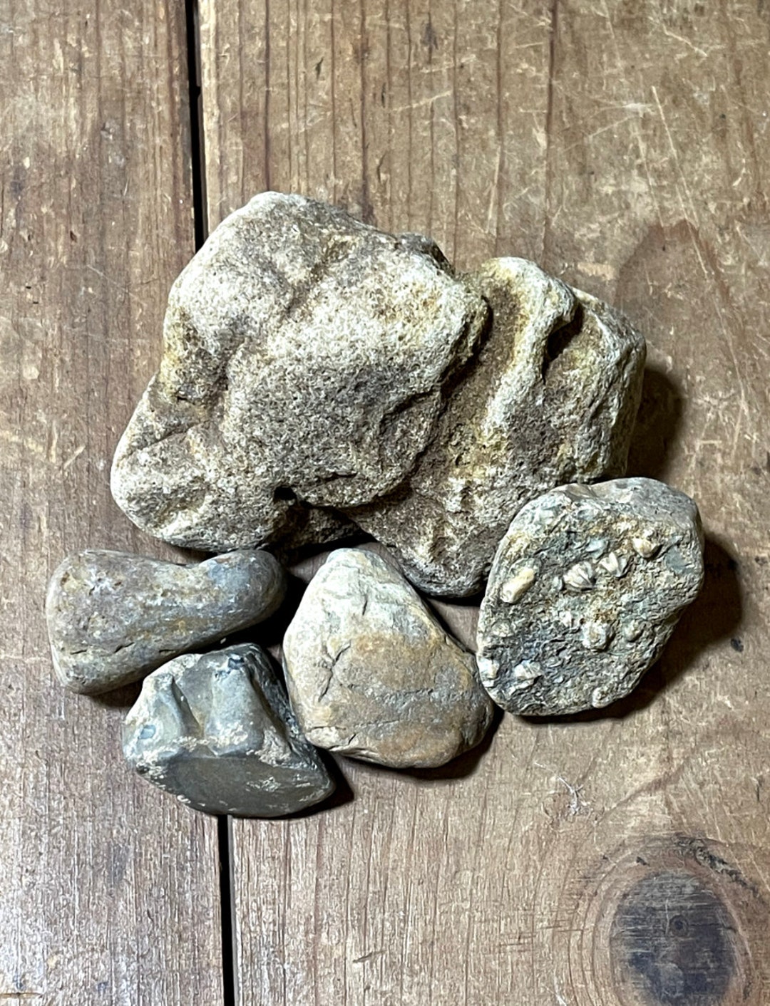Lot of Natural Ohio River Rocks for Decorating- Super Funky Chunks With ...