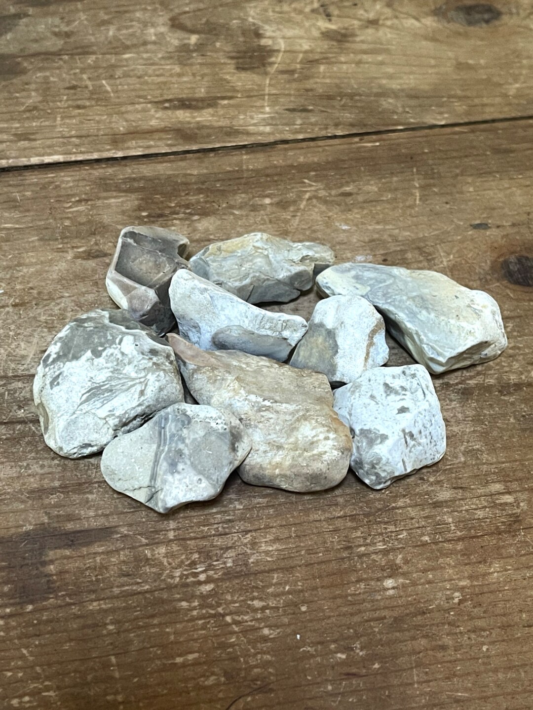 Natural Ohio Rocks for Decorating- White Tan and Brown Chert Stones W ...