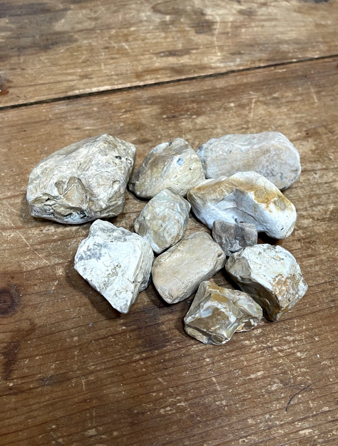 Natural Ohio River Rocks for Decorating- Super Neat Chert and Flint ...