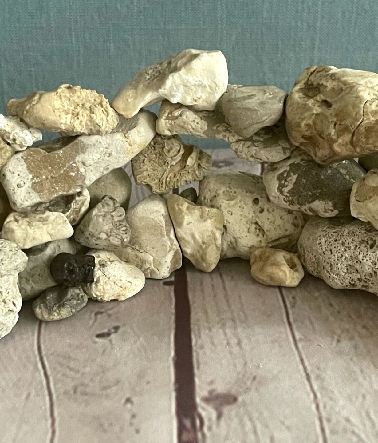 Handmade Natural Rock Aquarium Decoration Hideout Cave With Fossils - Etsy